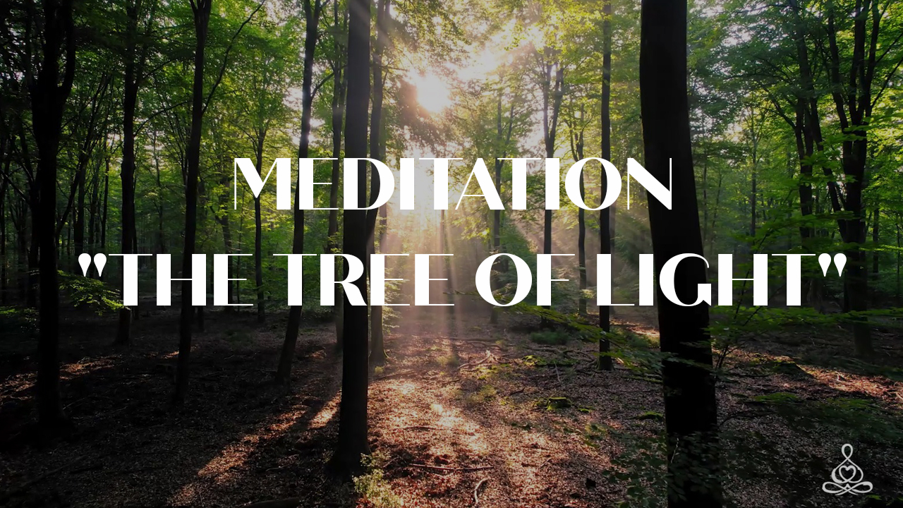 Meditation “The tree of light” – Holistic Cyprus